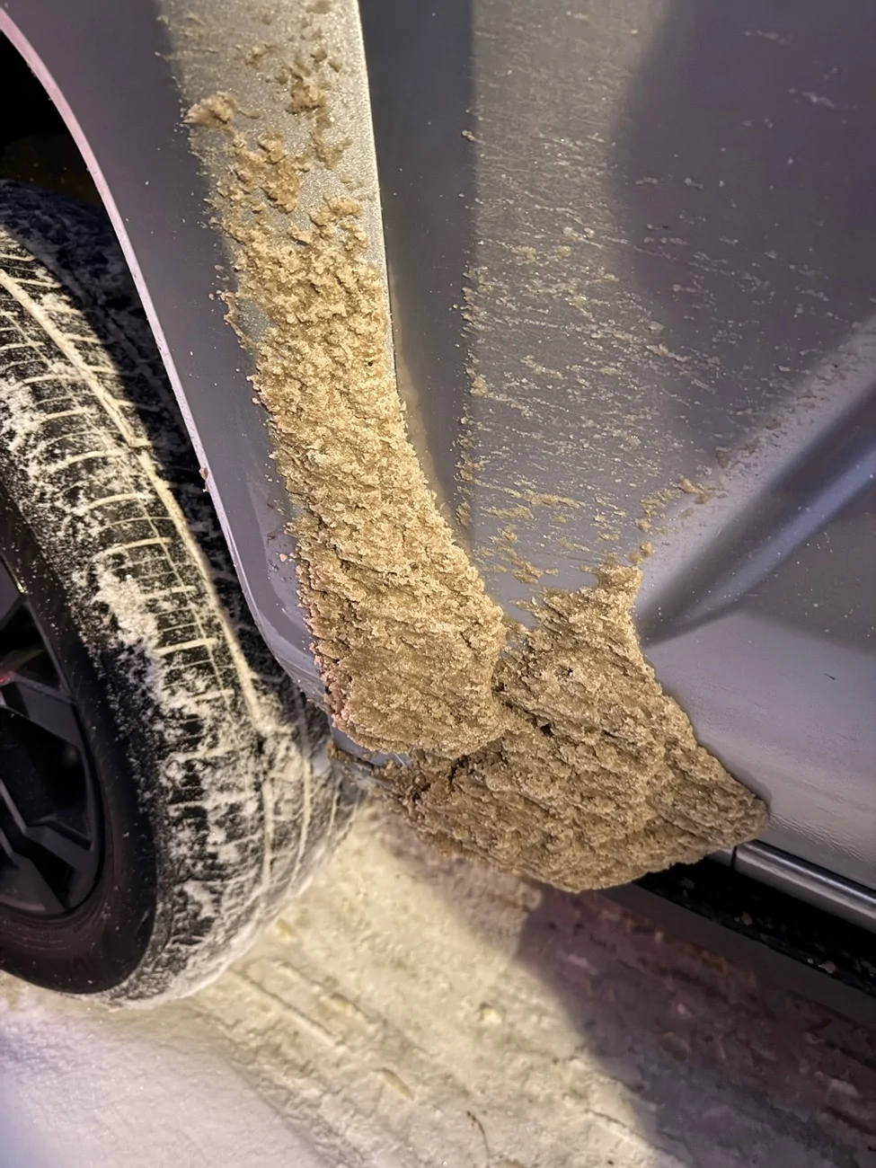 Gap below rear door letting snow/mud inside — normal design or missing ...